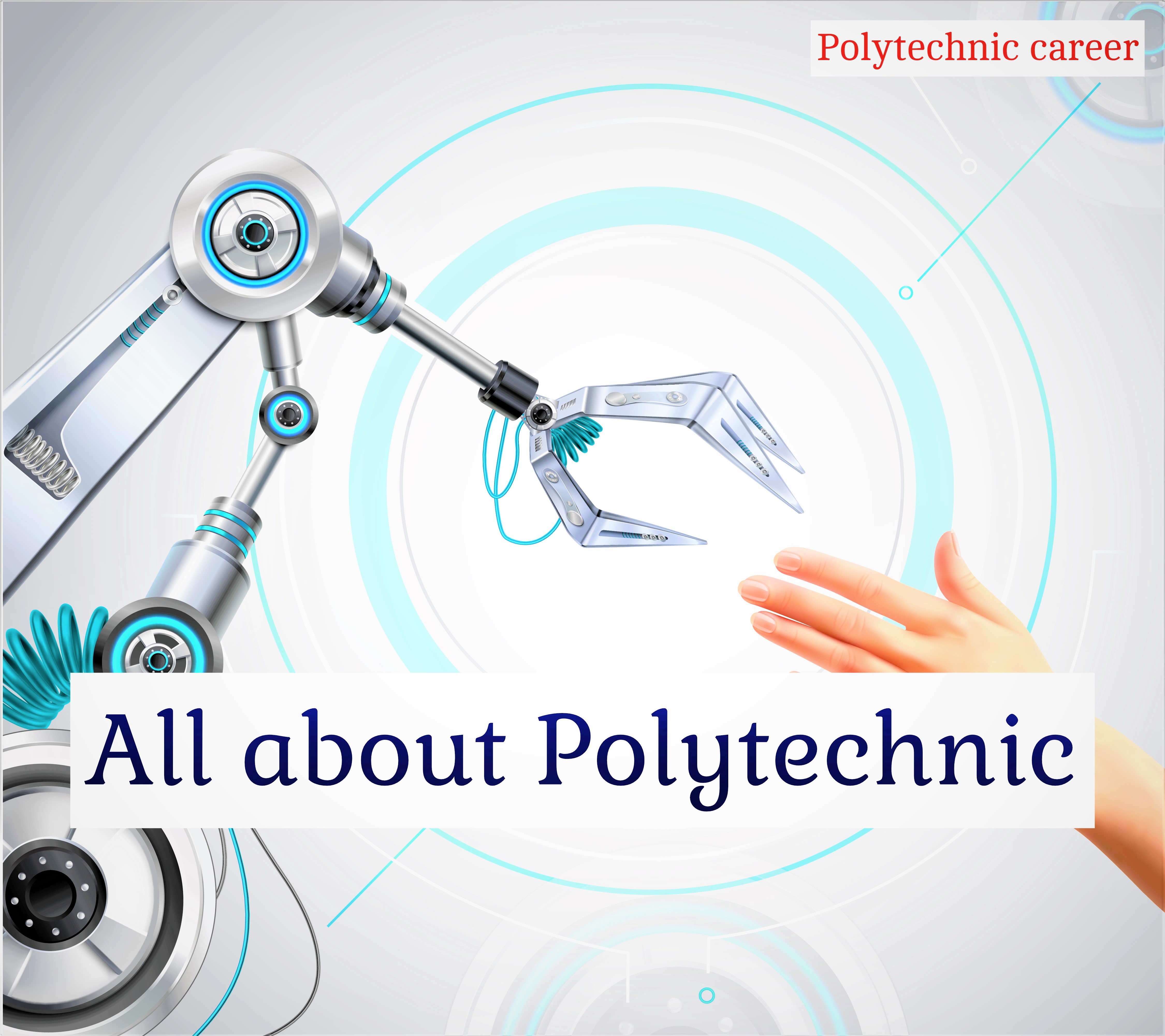 All about Polytechnic