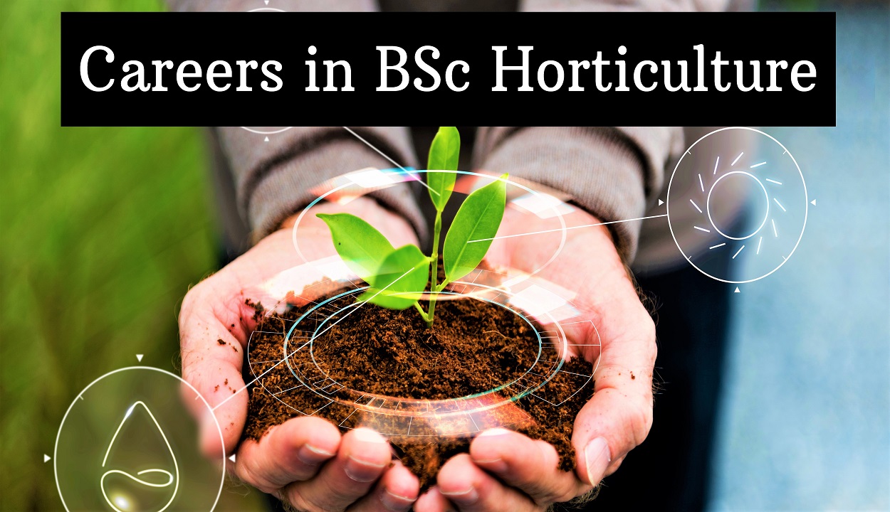 Careers in BSc Horticulture Scopes Job